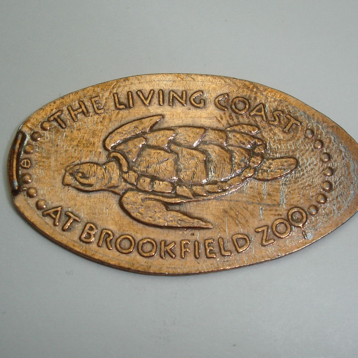 Pressed Penny: The Living Coast at Brookfield Zoo - Sea Turtle ...