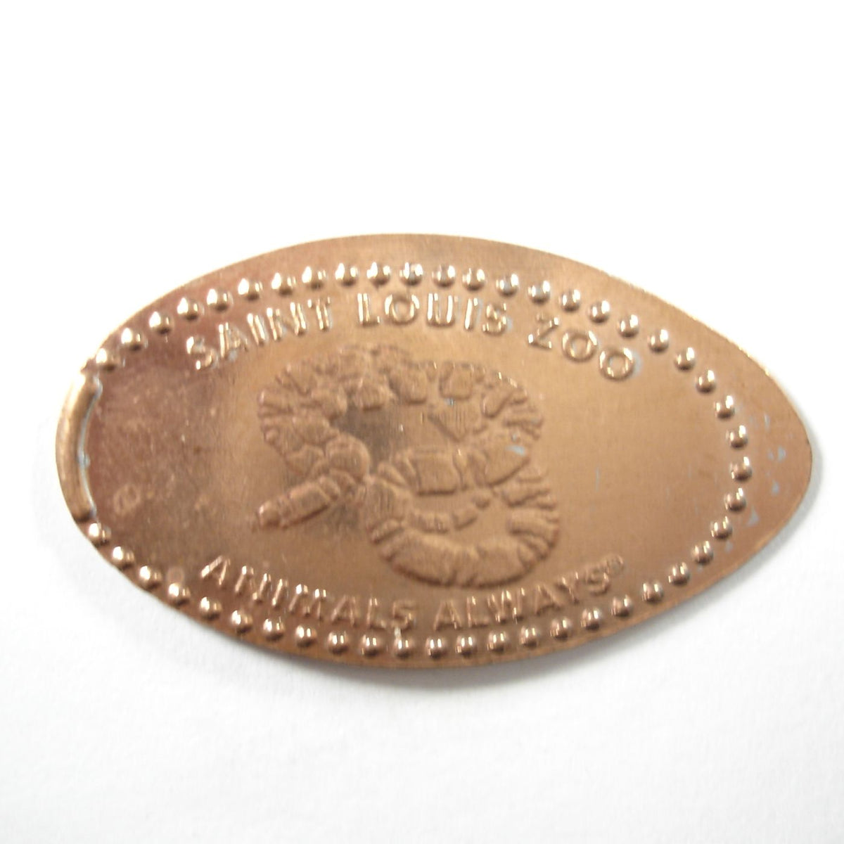 Pressed Penny: Saint Louis Zoo - Animals Always - Snake – PennyPresses.com