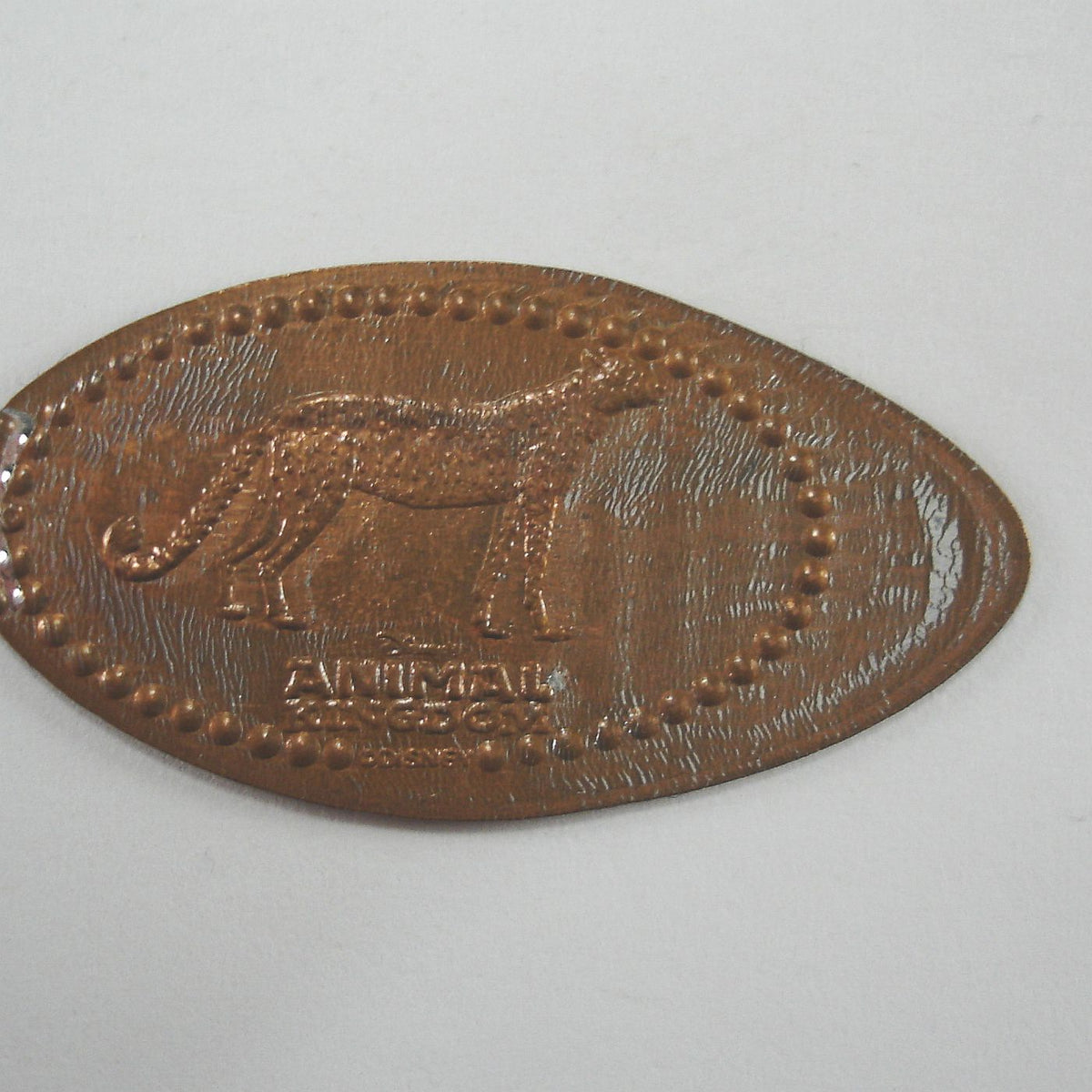 Pressed Penny: Animal Kingdom - Leopard – Penny Presses
