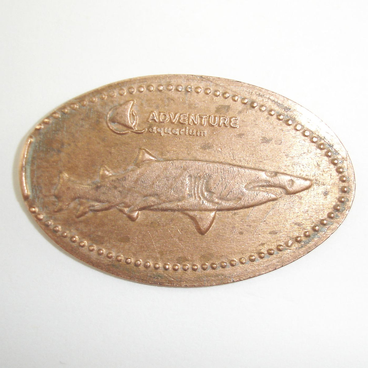 Pressed Penny: Adventure Aquarium - Shark – Penny Presses