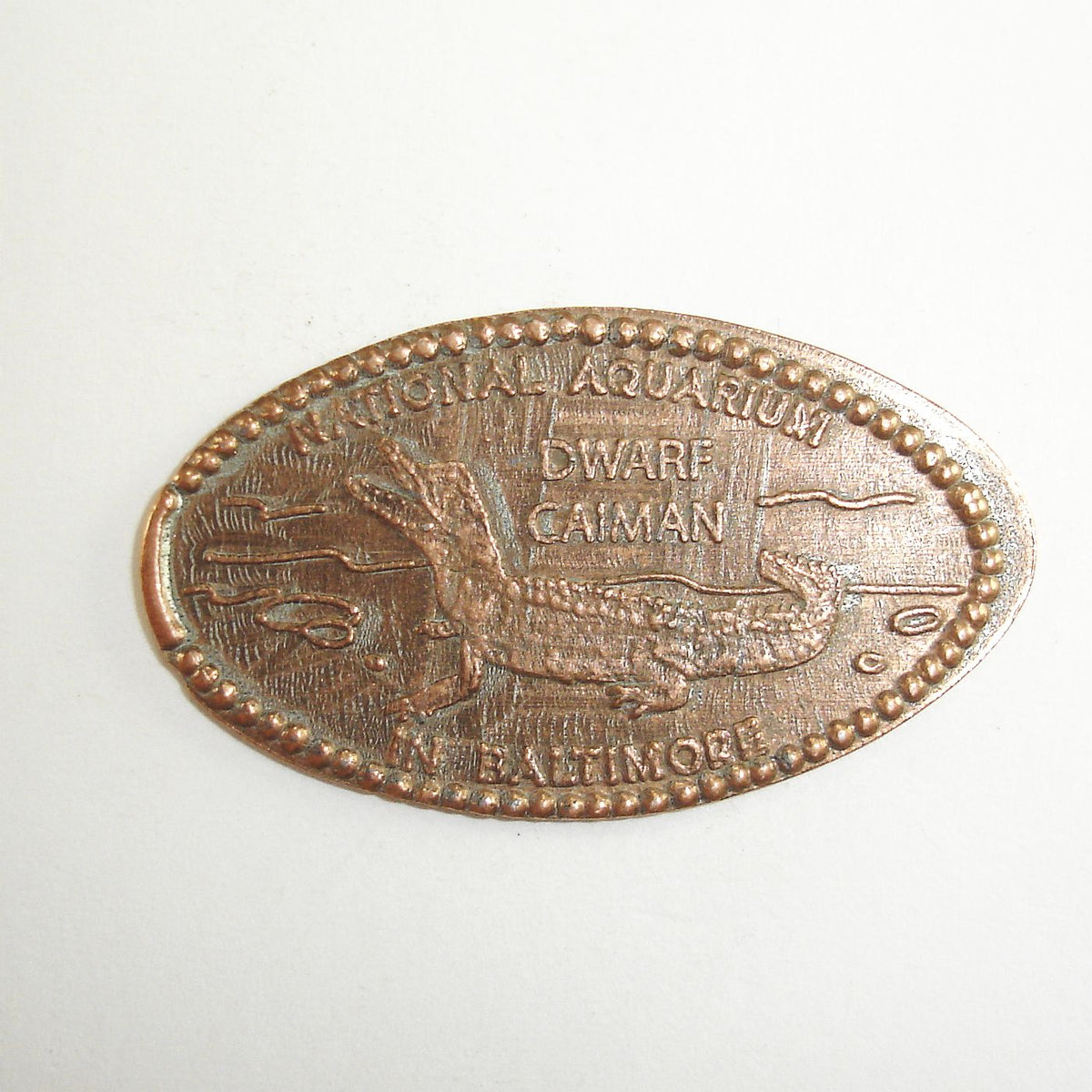 Pressed Penny: National Aquarium in Baltimore - Dwarf Caiman – Penny ...