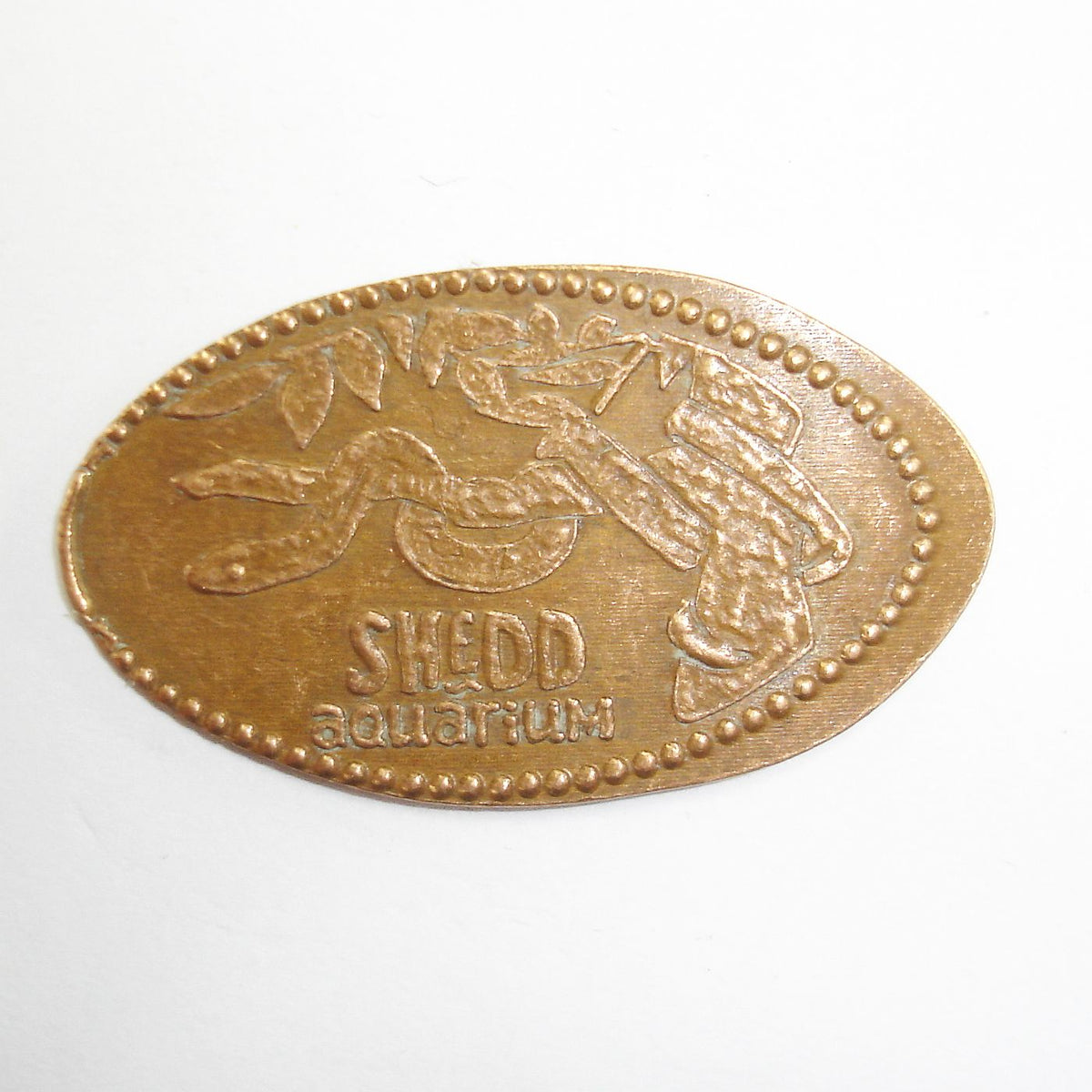 Pressed Penny: Shedd Aquarium - Snake – PennyPresses.com