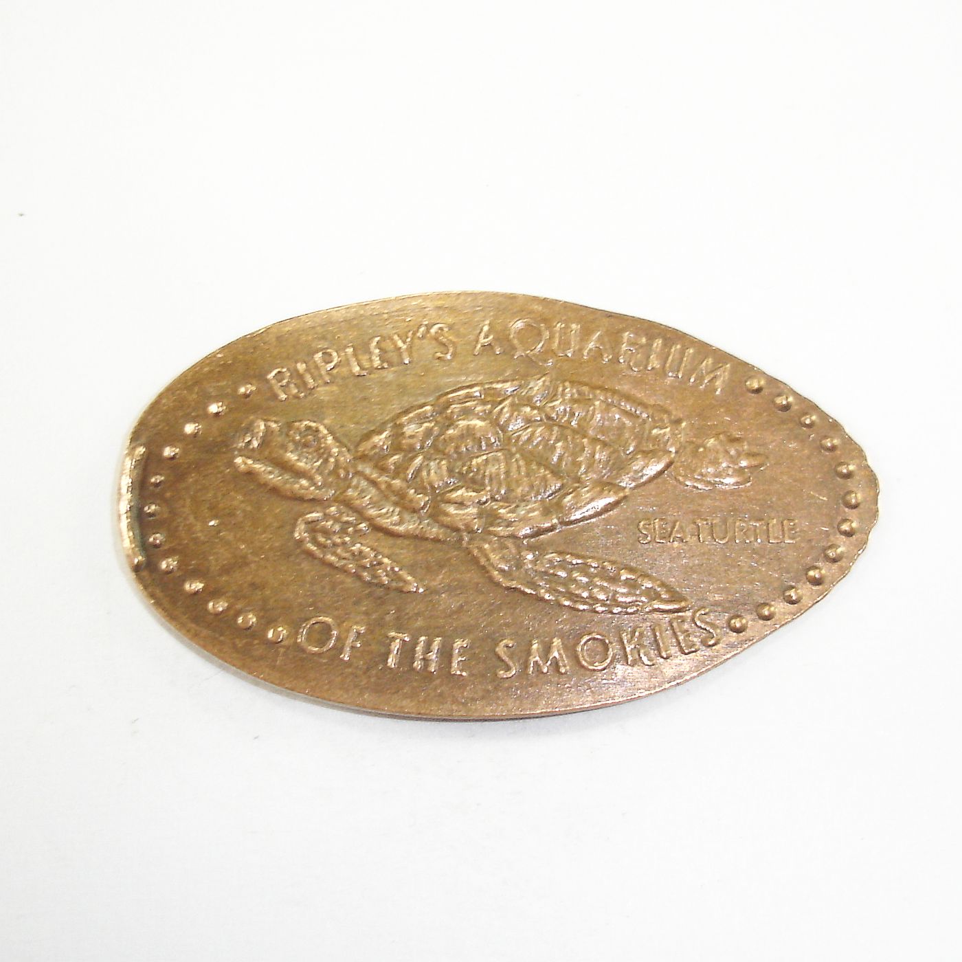 Pressed Penny: Ripley's Aquarium of the Smokies - Sea Turtle ...