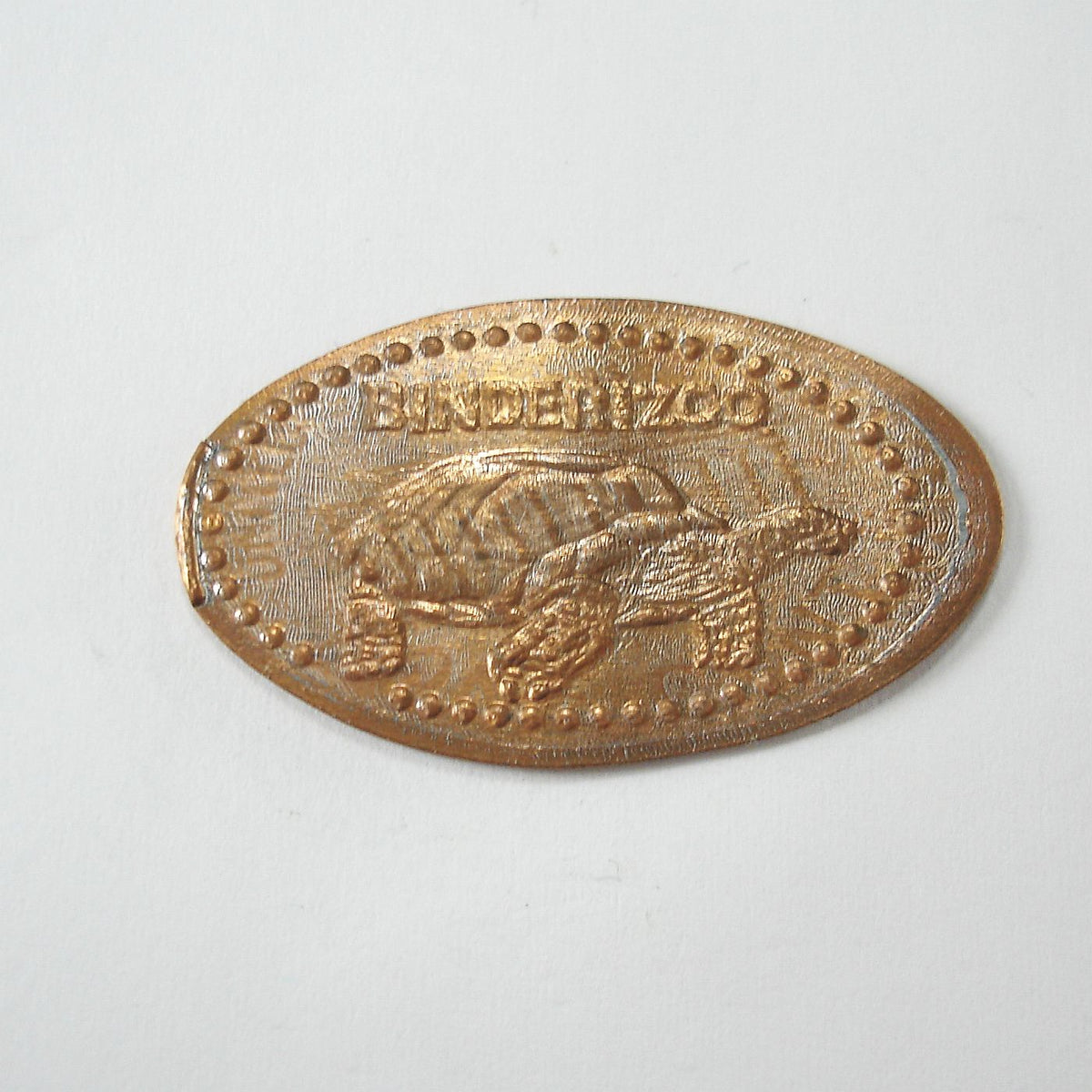 Pressed Penny: Binder Zoo - Tortoise – Penny Presses