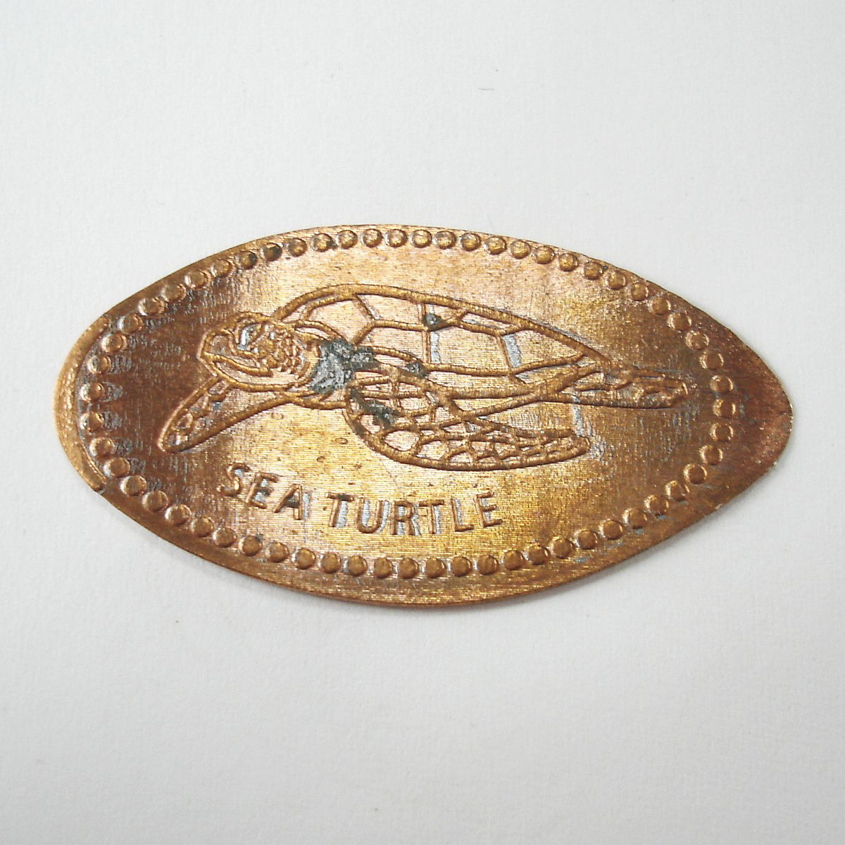Pressed Penny: Sea Turtle – Penny Presses