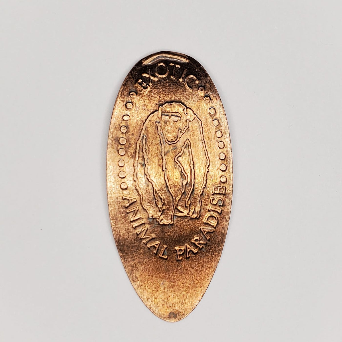 Pressed Penny: Exotic Animal Paradise - Monkey – PennyPresses.com
