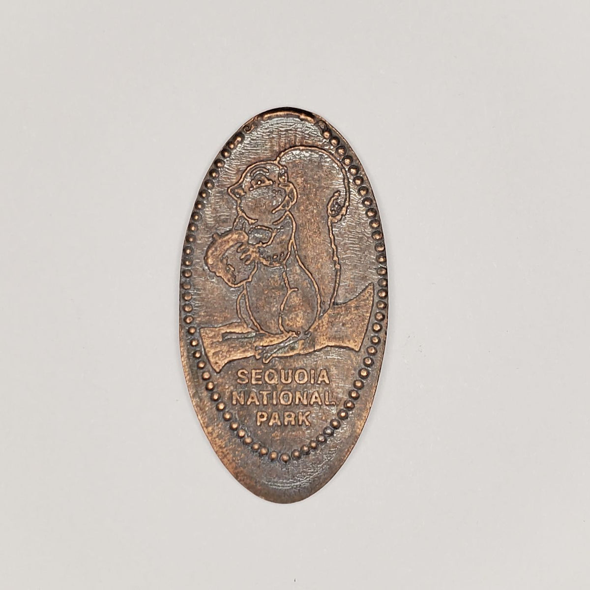 Pressed Penny: Sequoia National Park - Squirrel with Acorn – Penny Presses