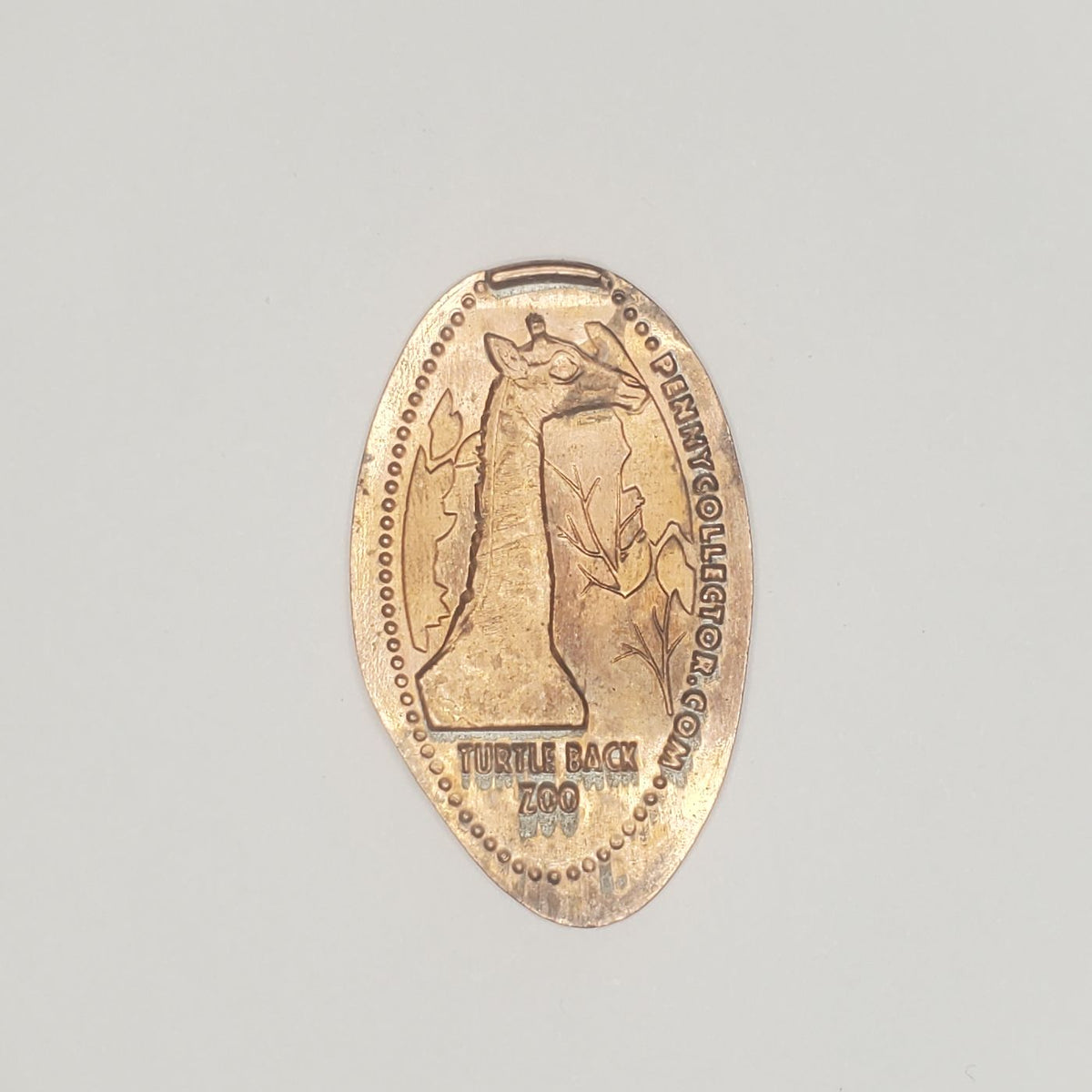 Pressed Penny: Turtle Back Zoo - Giraffe – Penny Presses